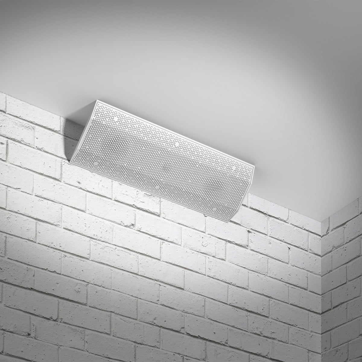 Lithe Audio IO1 Indoor & Outdoor Speaker - Passive – Ultra Sound & Vision